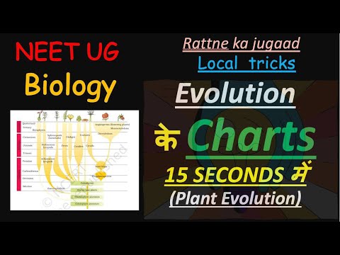 (Plant) Evolution के Charts MEMORISE in 15 Seconds | Local Tricks I Pranav Pundarik - YouTube