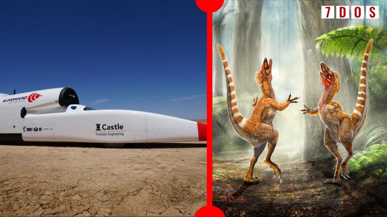 Do We Really Know What Colour Dinosaurs Were? - 7 Days of Science - YouTube