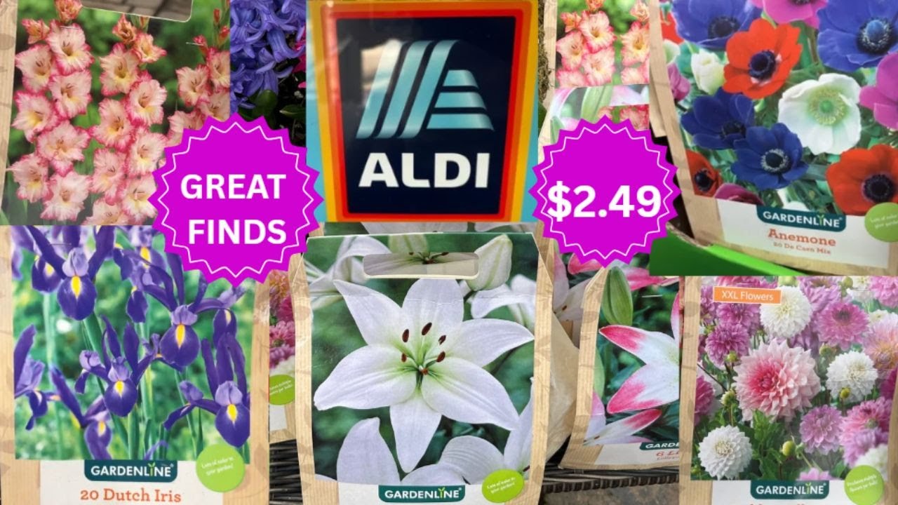 Summer Blooming Bulbs Haul for my Spring Garden from ALDI Grocery Store ...