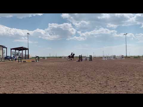 BVB/Rosie - Archer Horse Trials (show jumping) - YouTube