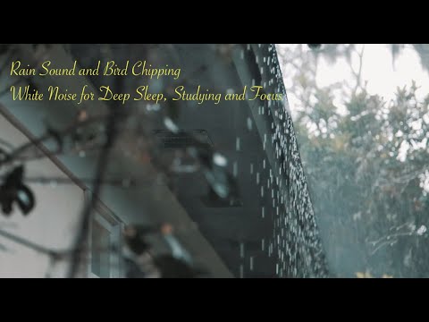 Raindrop White Noise - 8 Hours Rain dropping sound & Birds Chipping ...