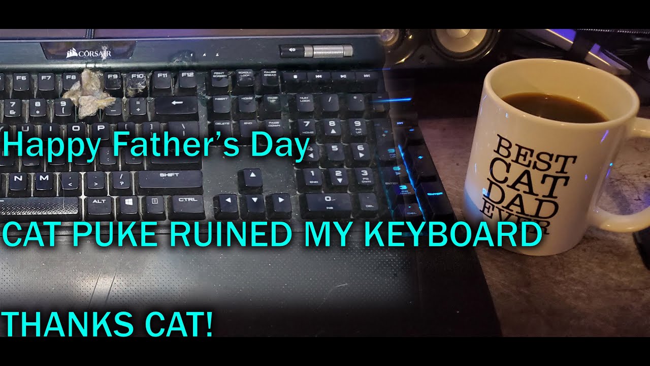 My cat puked on my keyboard and now it doesn't work - YouTube