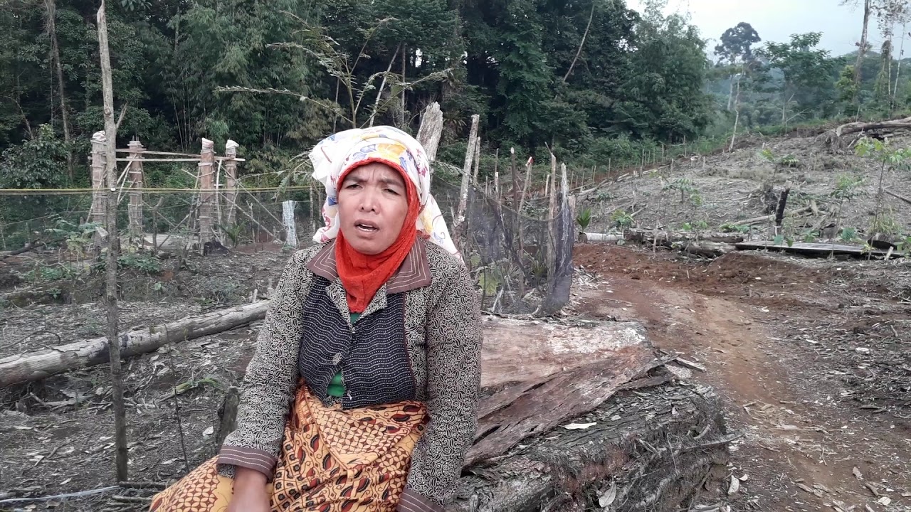cover Lagu Rejang Lalan Belek anggar Pelestarian adat Rejang Desa Batu ...
