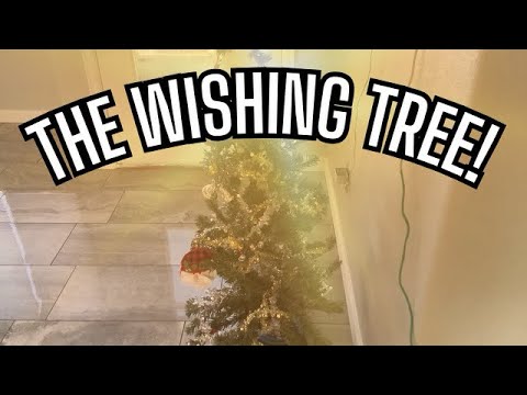 The Wishing Tree! - YouTube