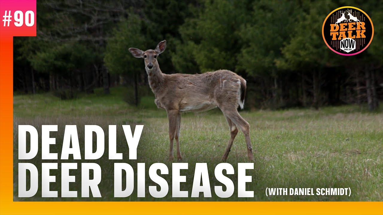 #90: THE INSANITY AROUND CWD | Deer Talk Now Podcast - YouTube