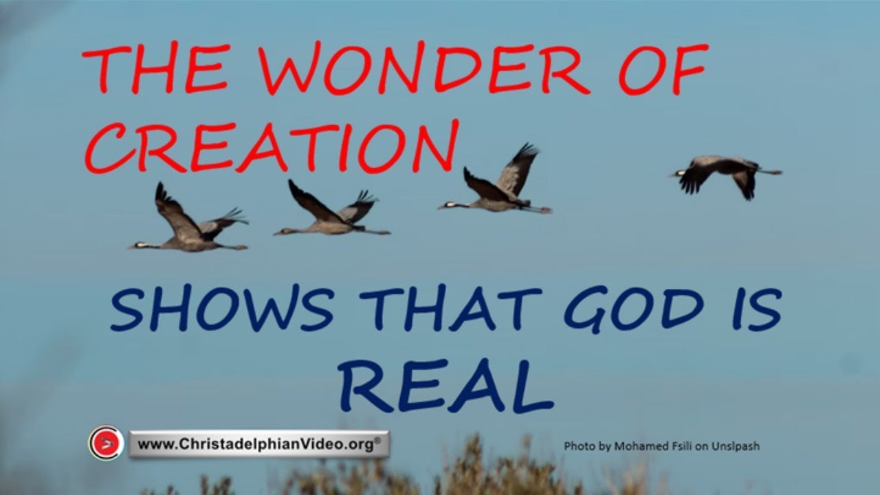 The Wonder of Creation Shows that God is Real! - YouTube