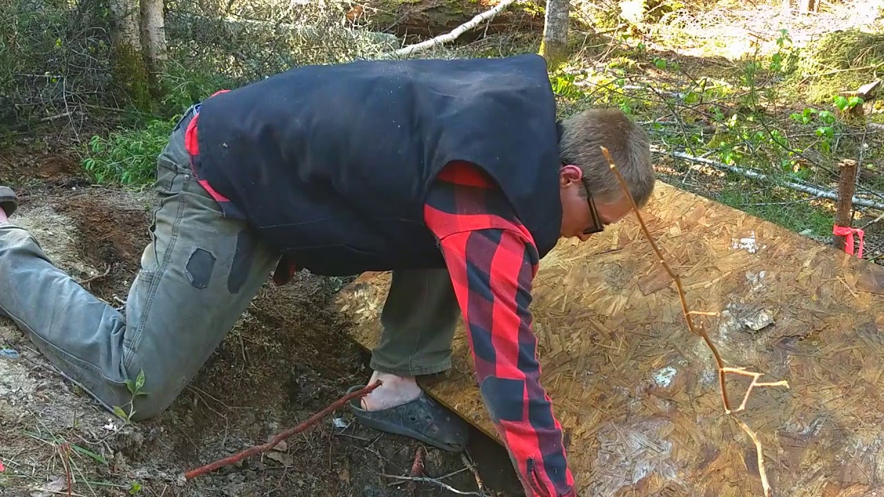 BUILDING A LOG CABIN FROM SCRATCH: CLEARING LAND, PEELING LOGS - YouTube