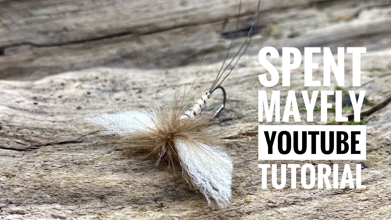 Great spent mayfly pattern - easy and effective. Try out this tutorial ...