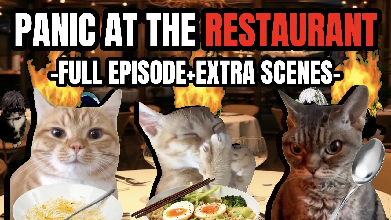 Cat MEMES: PANIC AT THE RESTAURANT + EXTRA SCENES - YouTube