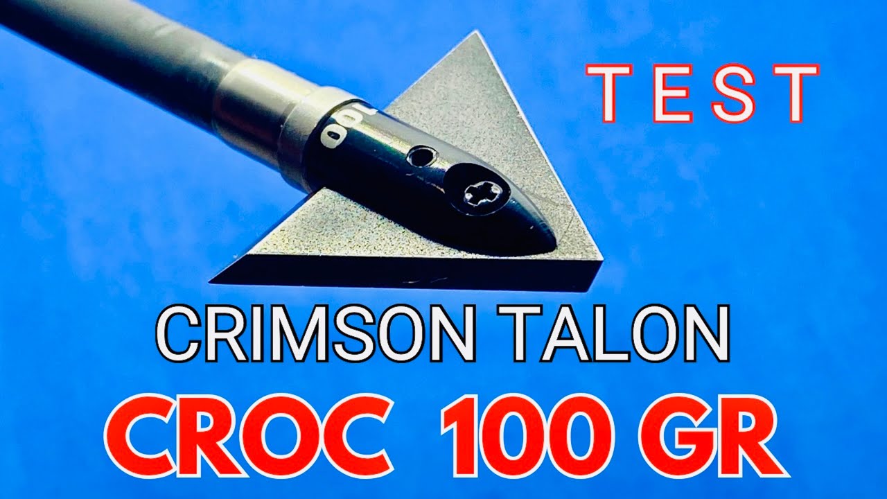 CRIMSON TALON CROC 100 gr Broadhead Test--Great Performance & Great ...