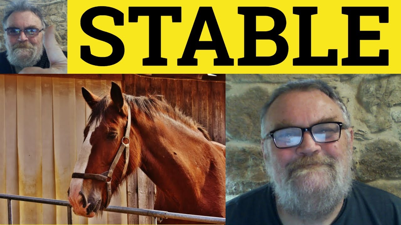 🔵 Stable Meaning - Stability Defined - Stable Definition - CAE ...