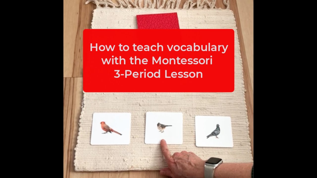 The 3-Period Lesson for Teaching Vocabulary - YouTube