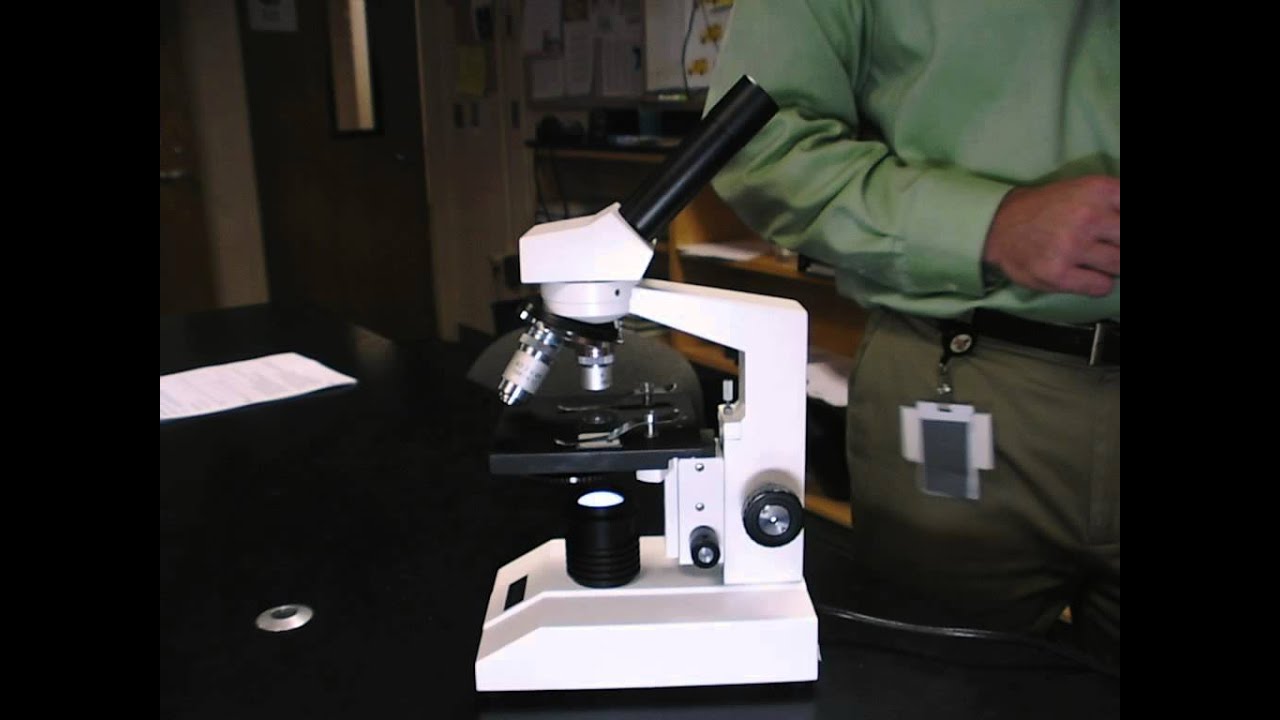 focusing the microscope - YouTube