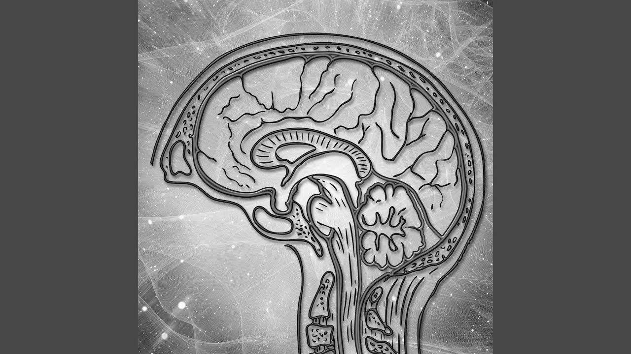 Mood elevator - YouTube