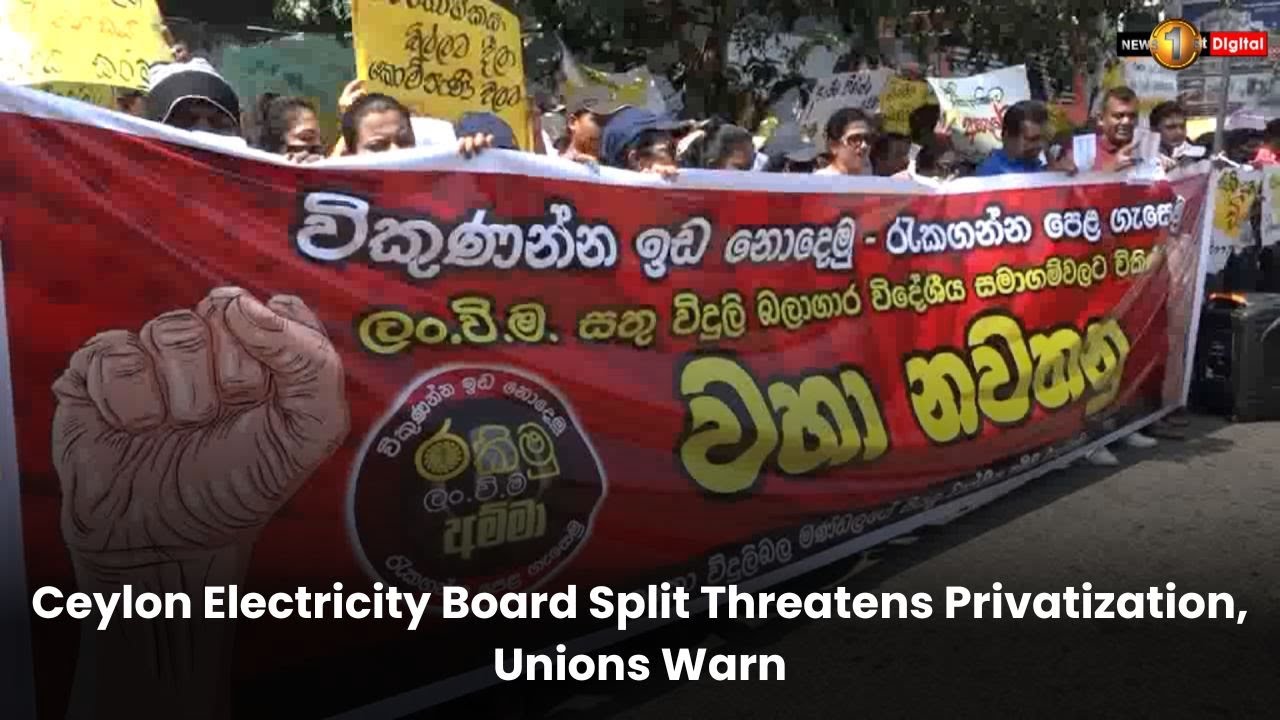 Ceylon Electricity Board Split Threatens Privatization, Unions Warn - YouTube