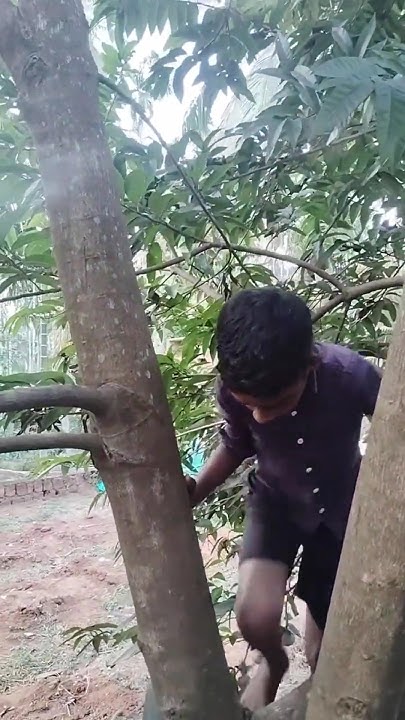 പഴയ കാലം ഒരു ഓർമ്മ Youtube