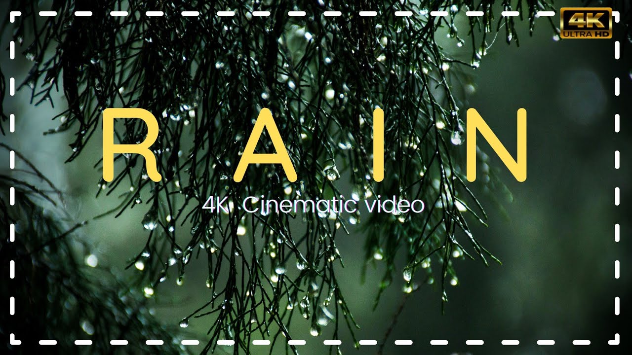 Rain Cinematic Video - 4K ultra hd - YouTube