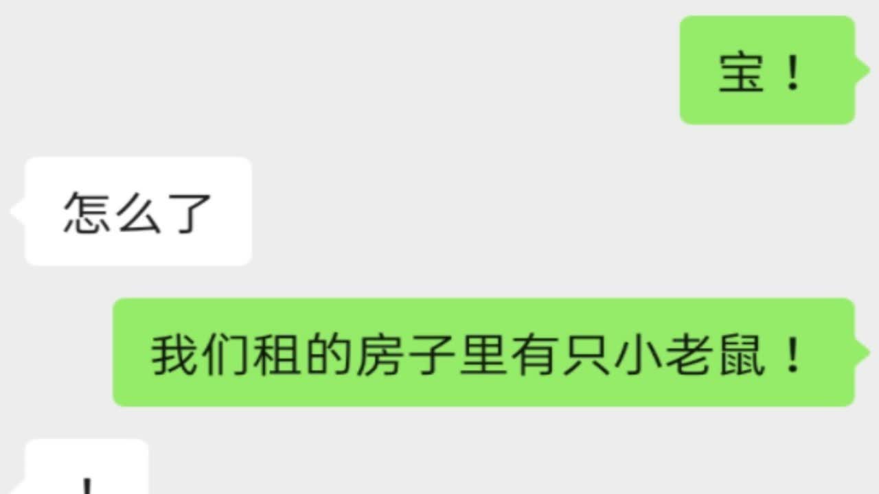 纯情房客火辣辣 Youtube