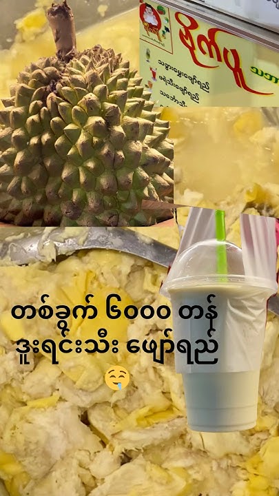 တစ်ခွက် ၆၀၀၀ တန် ဒူးရင်းသီး ဖျော်ရည် 🥤 Youtube