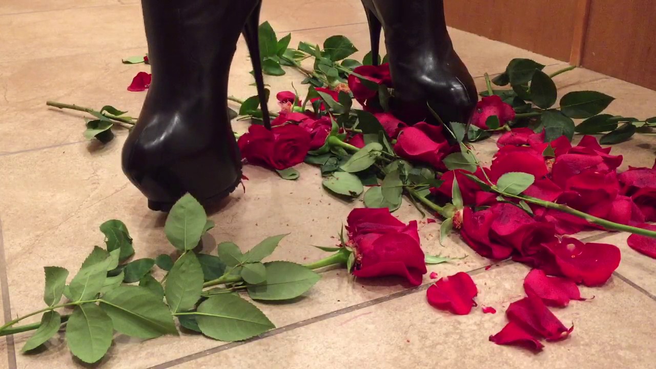 Red Roses Bunch Crushed under Stiletto Platform Boots - YouTube