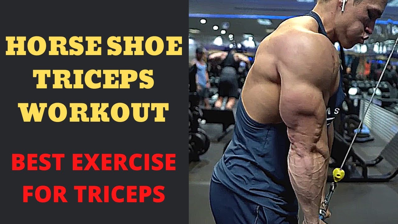 Horse Shoe Triceps Workout | Best Exercise For Triceps | Gym mania ...