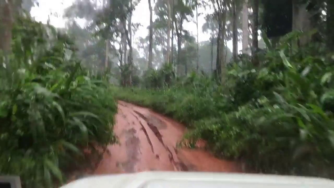 Driving through heavy rain in the jungle of Cameroon's southeast - YouTube