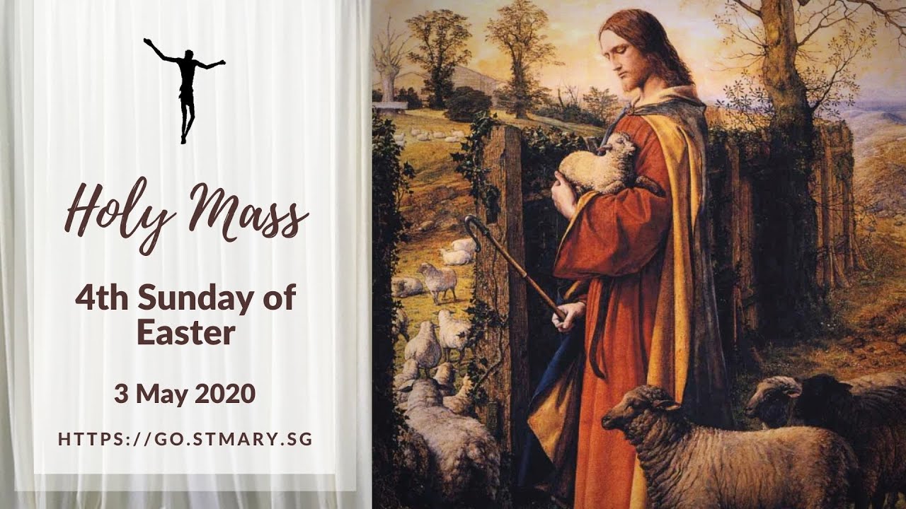 Holy Mass - Good Shepherd Sunday (4th Sunday of Easter) - 3 May 2020 ...