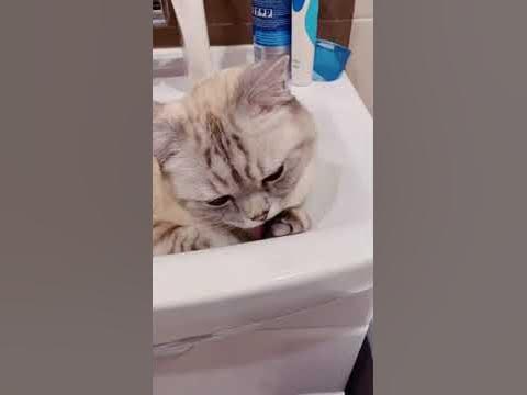 Не надо включать воду. - YouTube