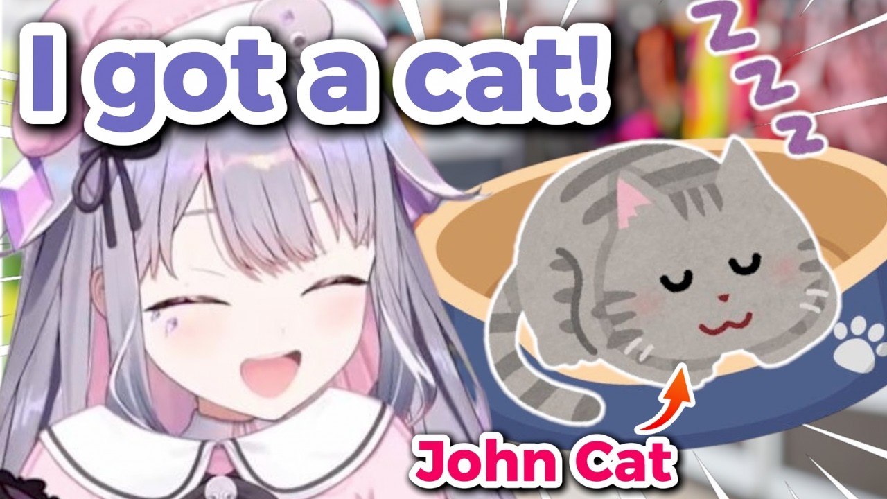 Biboo Finally Adopts her own Cat! - YouTube
