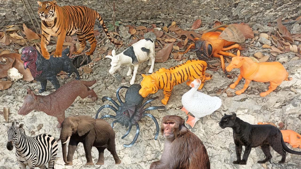 Animals Names And sounds elephant, Cow, Camel, Monkey, Tiger, Swan, Fox ...