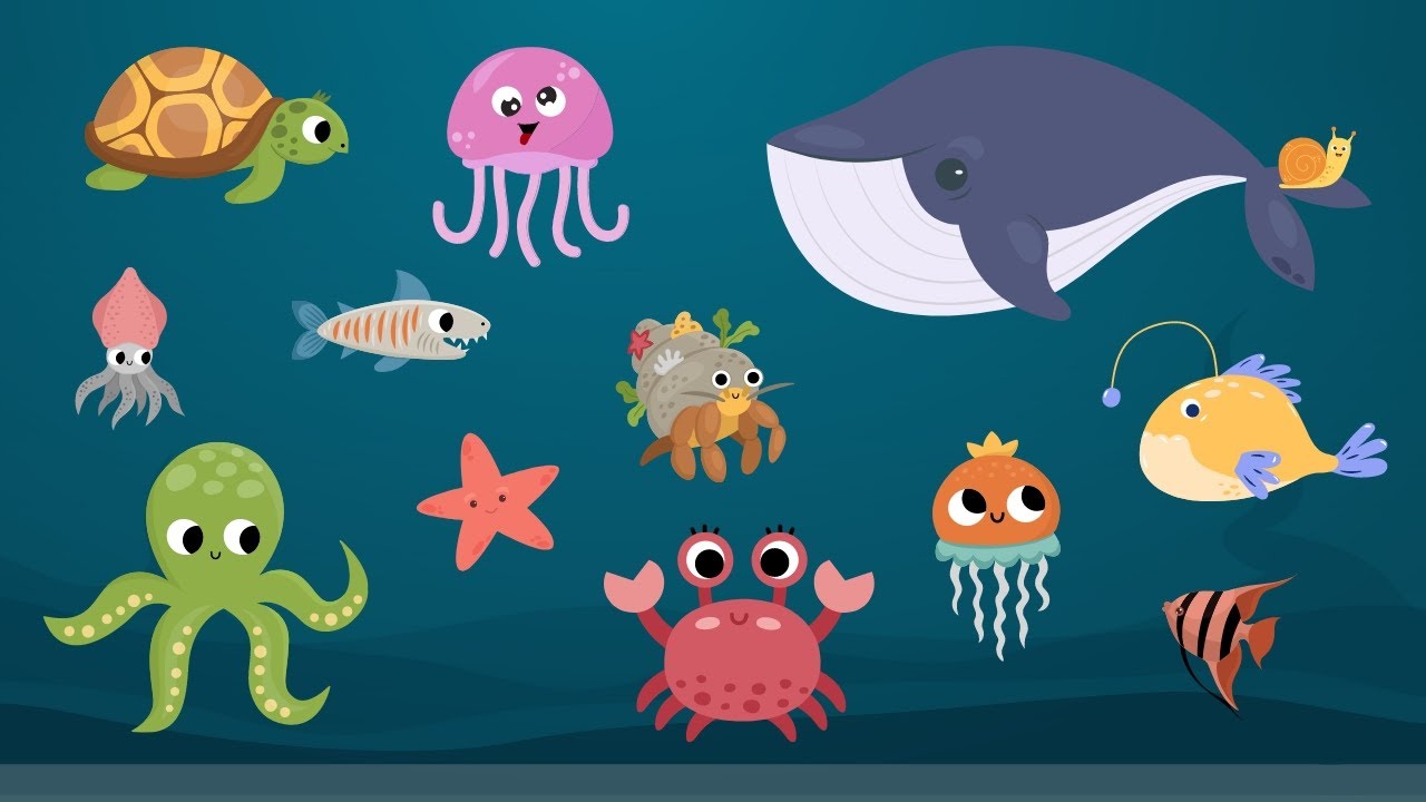 Sea Animals And Playful Music For Kids - YouTube