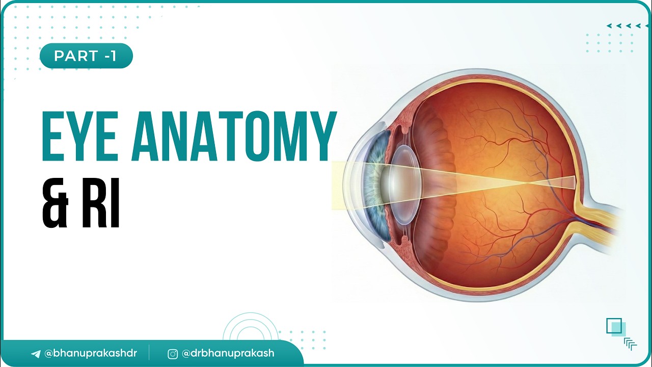 1. Introduction to Ophthalmology 👁️ Eye Anatomy & Refractive Index ...