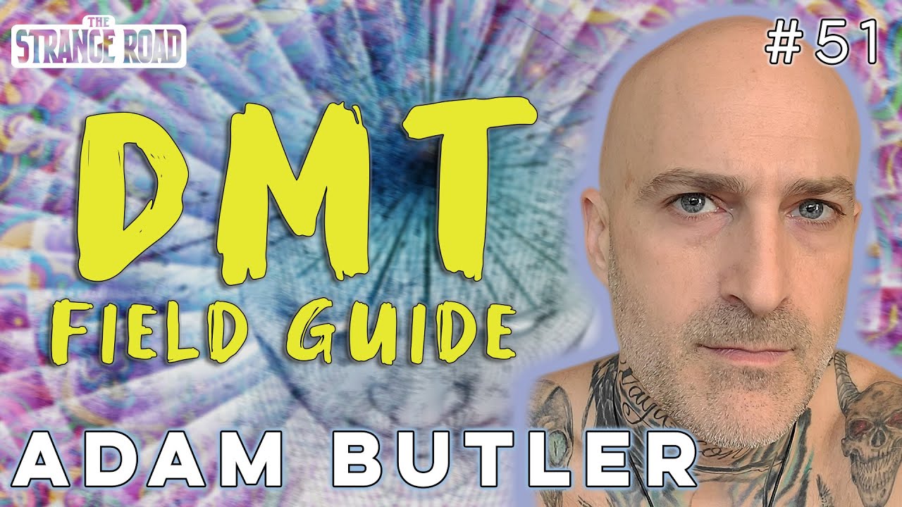 DMT Field Guide | Adam Butler - YouTube