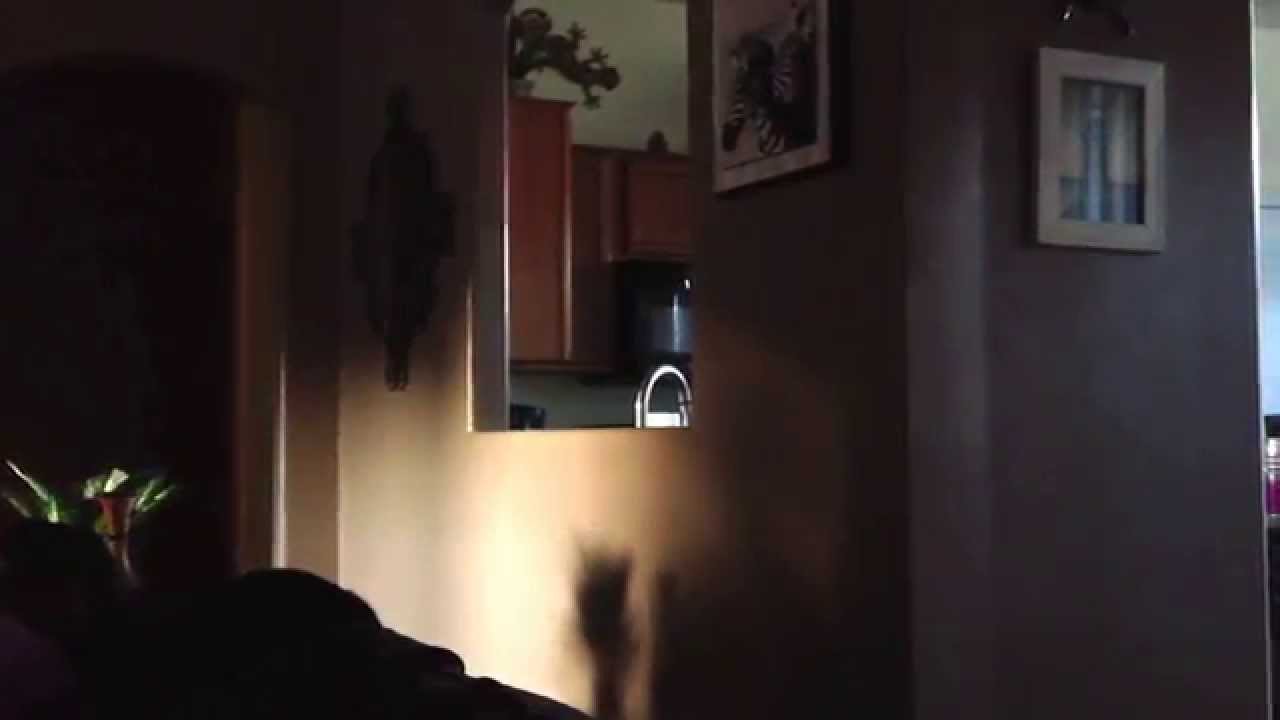Shadow people in my house!!! - YouTube