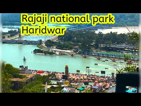 Rajaji | national | park | Haridwar | Rishikesh | jungle | safari - YouTube