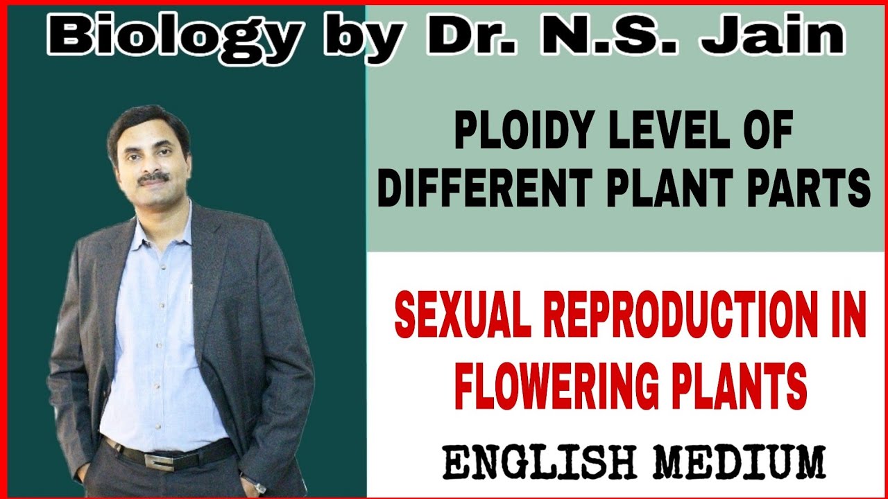 Ploidy Level of Different Plant Parts (Sexual Reproduction in Flowering ...
