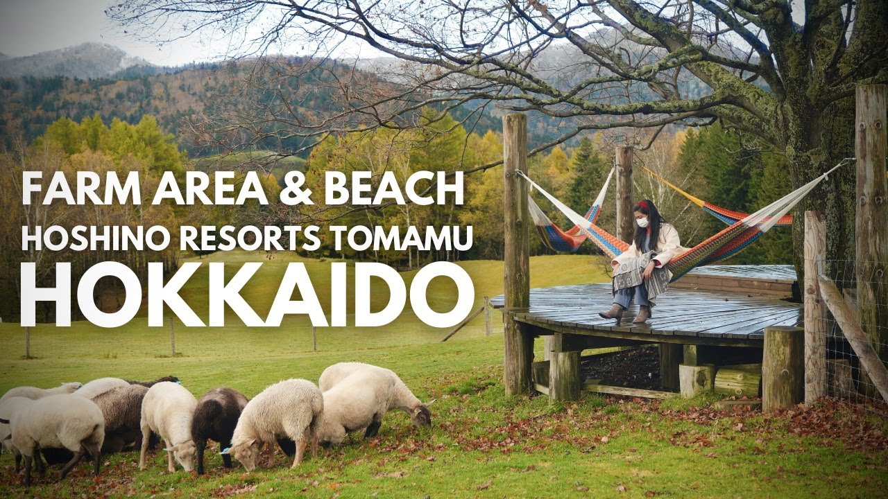 Japan Travel Guide｜Farm area & Beach｜Hoshino Resorts TOMAMU｜Hokkaido ...