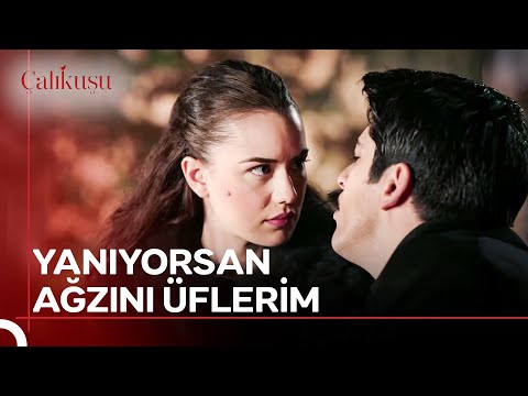 Çapkınlık Yarışmasındasın Ama Rakibin Kamran 😂 | Çalıkuşu
