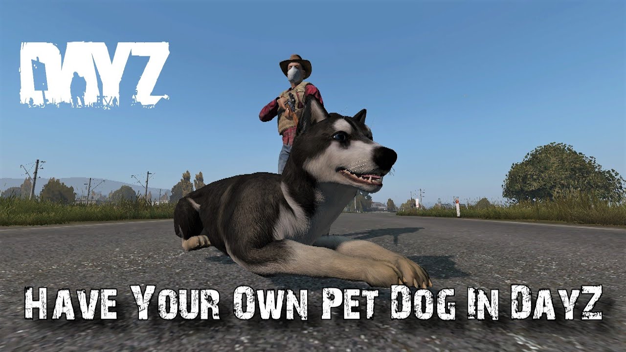 You Can Now Have A Pet Dog In DayZ!! - YouTube