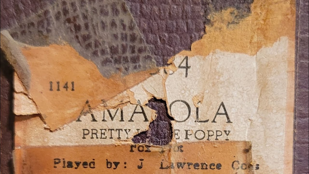Amapola (Pretty Little Poppy) - QRS _ - YouTube