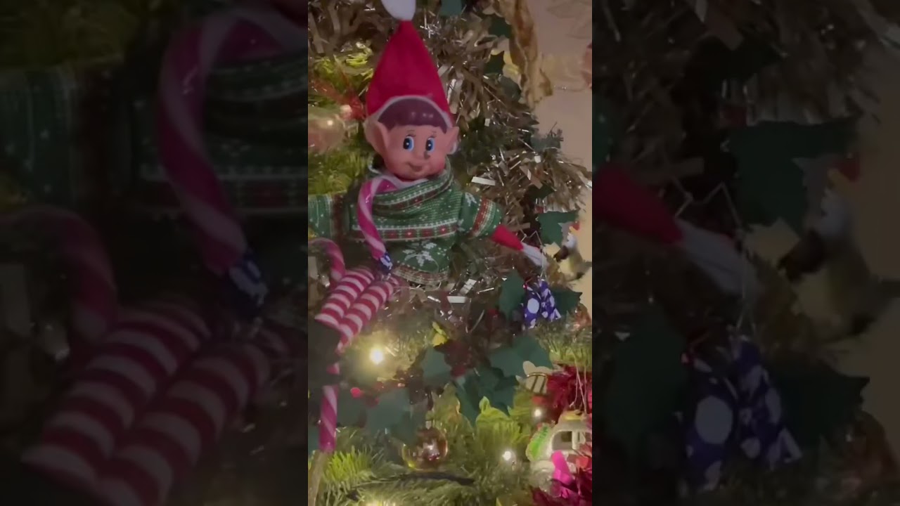 Elf eating our chocolate decorations - YouTube