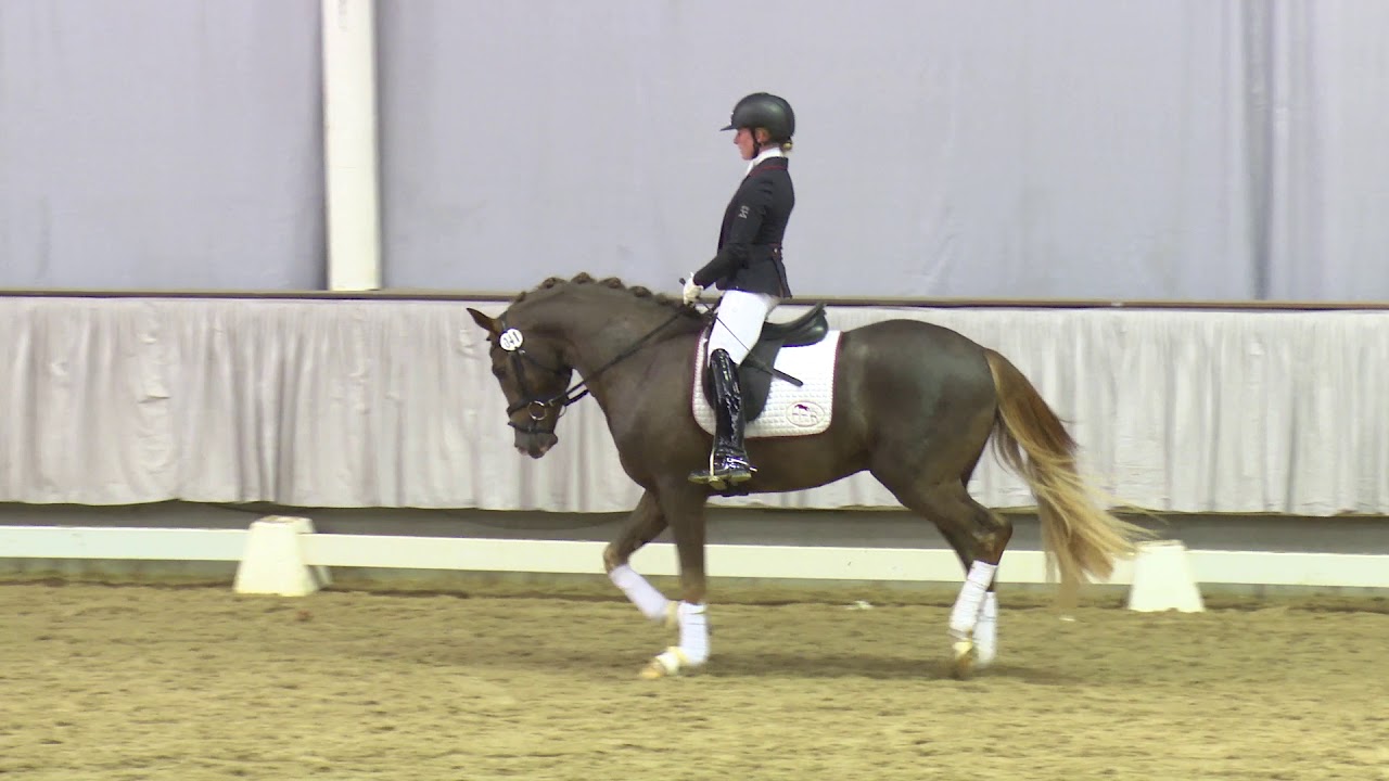 Numerus Clausus at 3 years old - Westphalia Germany - YouTube