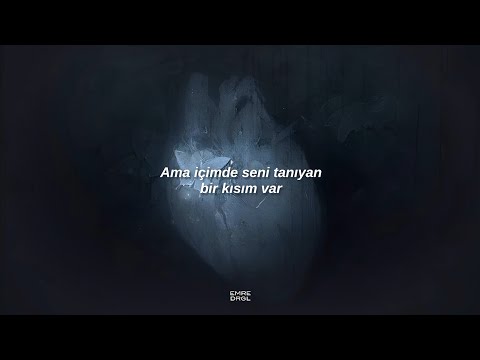 Billie Eilish - CHIHIRO (Türkçe Çeviri)
