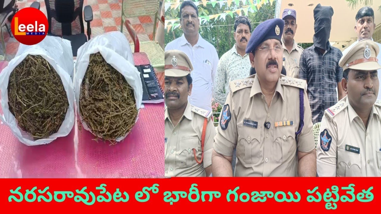 భారీగా గంజాయి పట్టివేత..Police Arrested Ganjai Supply IN Narasaraopet ...