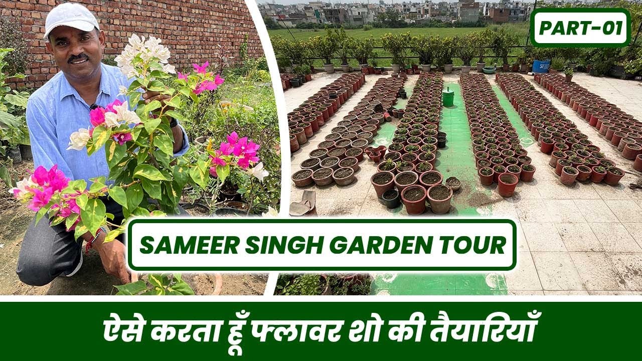 ऐसे करता हूँ फ्लावर शो की तैयारी 😲🌸 Sameer Singh Garden Tour 😱 A to Z Info - YouTube