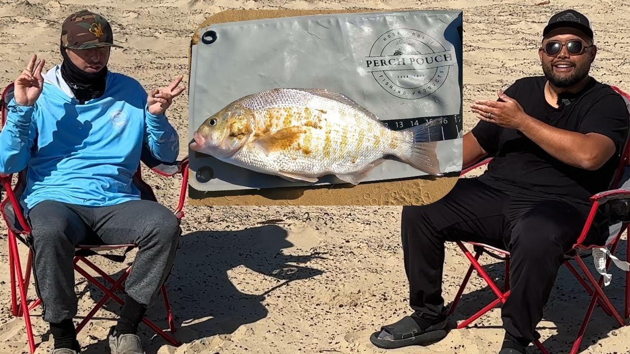 Surf Perch Fishing Tips Mastering the Summer to Fall Transition - YouTube