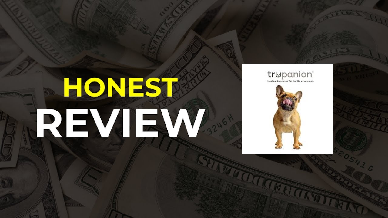 Trupanion Pet insurance: HONEST REVIEW (Pros & Cons) - YouTube
