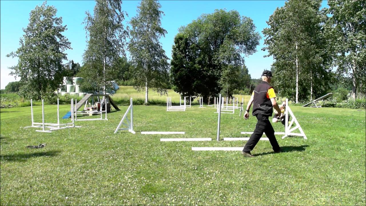 Jumping grid exercises agility / hyppytekniikka HT Sammy diagonaali&BG ...