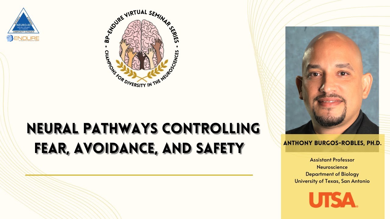 Speaker: Anthony Burgos, PhD | May 5, 2021 |BP-E VSS - YouTube