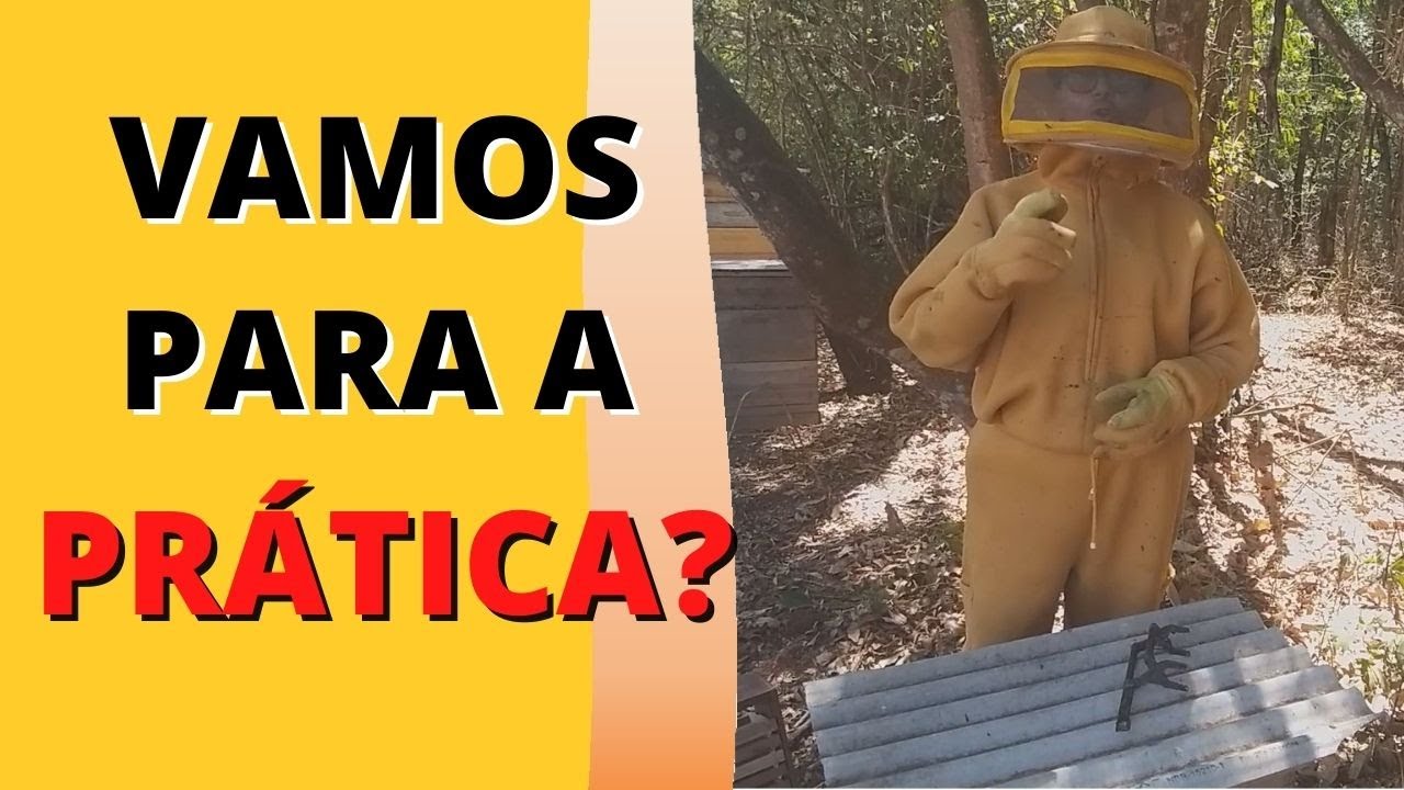 Vamos Pra Prática Youtube 6195